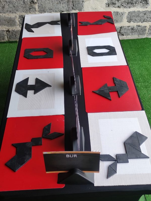 Animation Jeux en Bois - Animadom